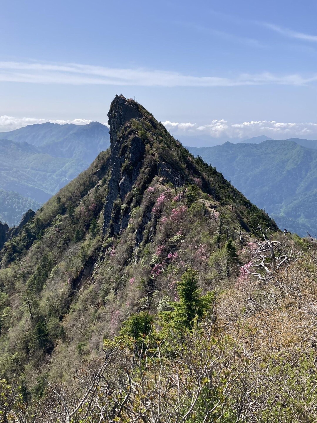 #199 快晴の石鎚山 63/100 / のぼりたいさんの石鎚山・堂ヶ森・二ノ森の活動データ | YAMAP / ヤマップ