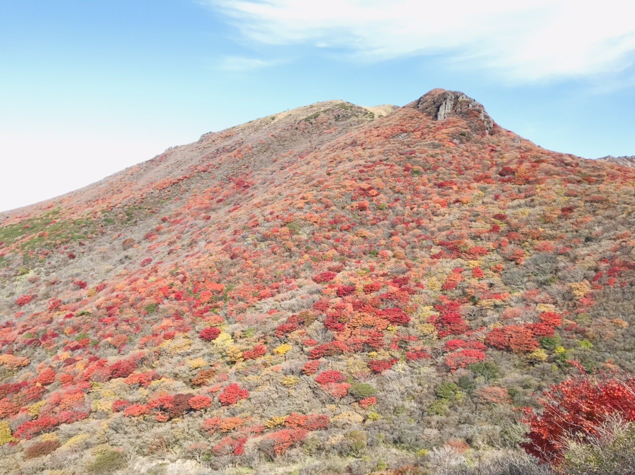 2020.11.23(月) 01:03 / Shingo Sさんのモーメント | YAMAP / ヤマップ