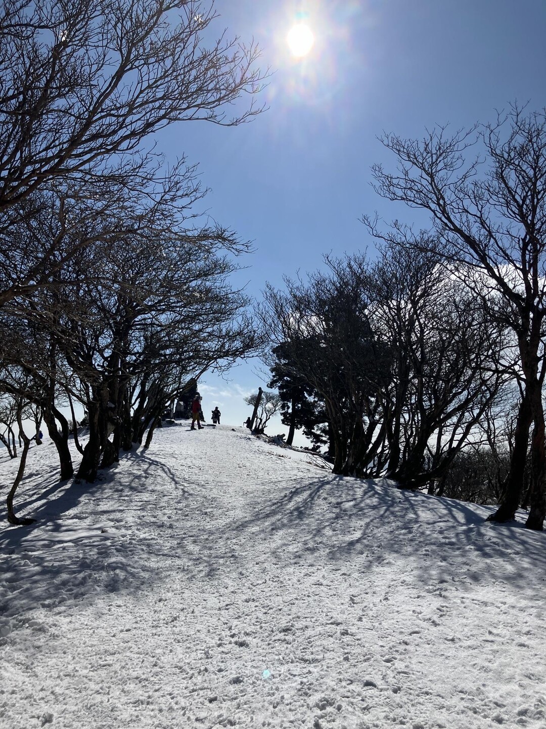 綿向山 心眼で霧氷？ / pongoさんの綿向山の活動データ | YAMAP / ヤマップ