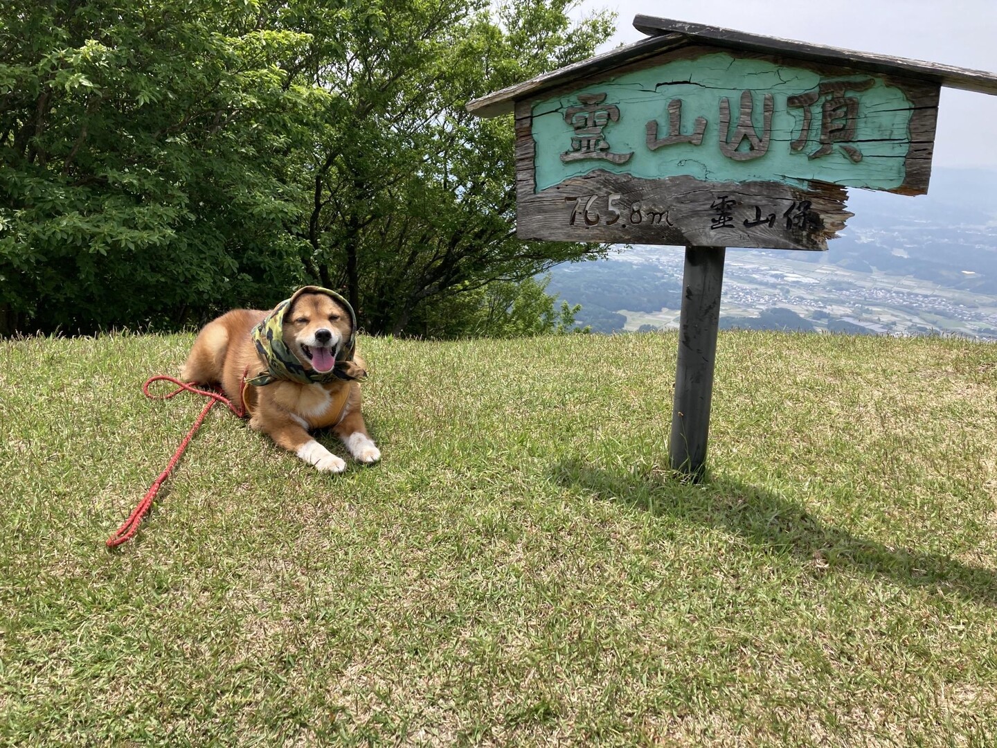 忍者トレイル〜わんわんでござるよ / bu-koさんの霊山・西教山の活動データ | YAMAP / ヤマップ