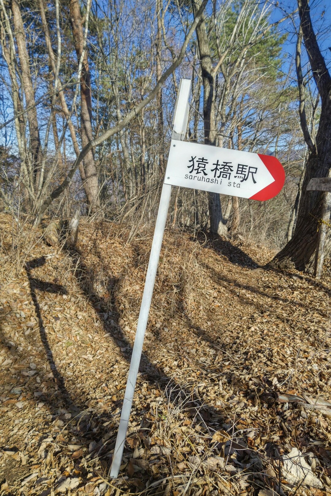 Hectorさんの投稿したフィールドメモ | YAMAP / ヤマップ