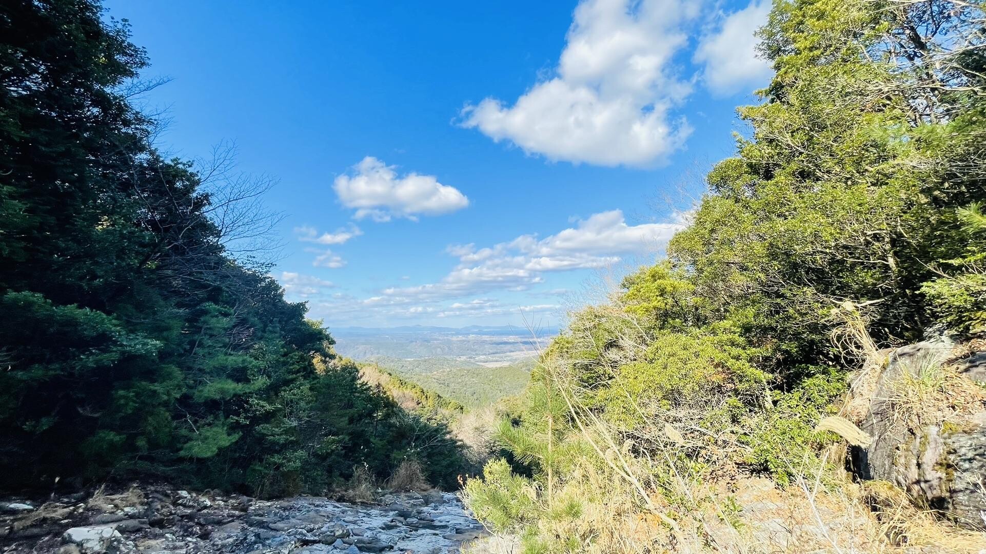 登り初め 八面山 / Haroldさんの八面山の活動データ | YAMAP / ヤマップ