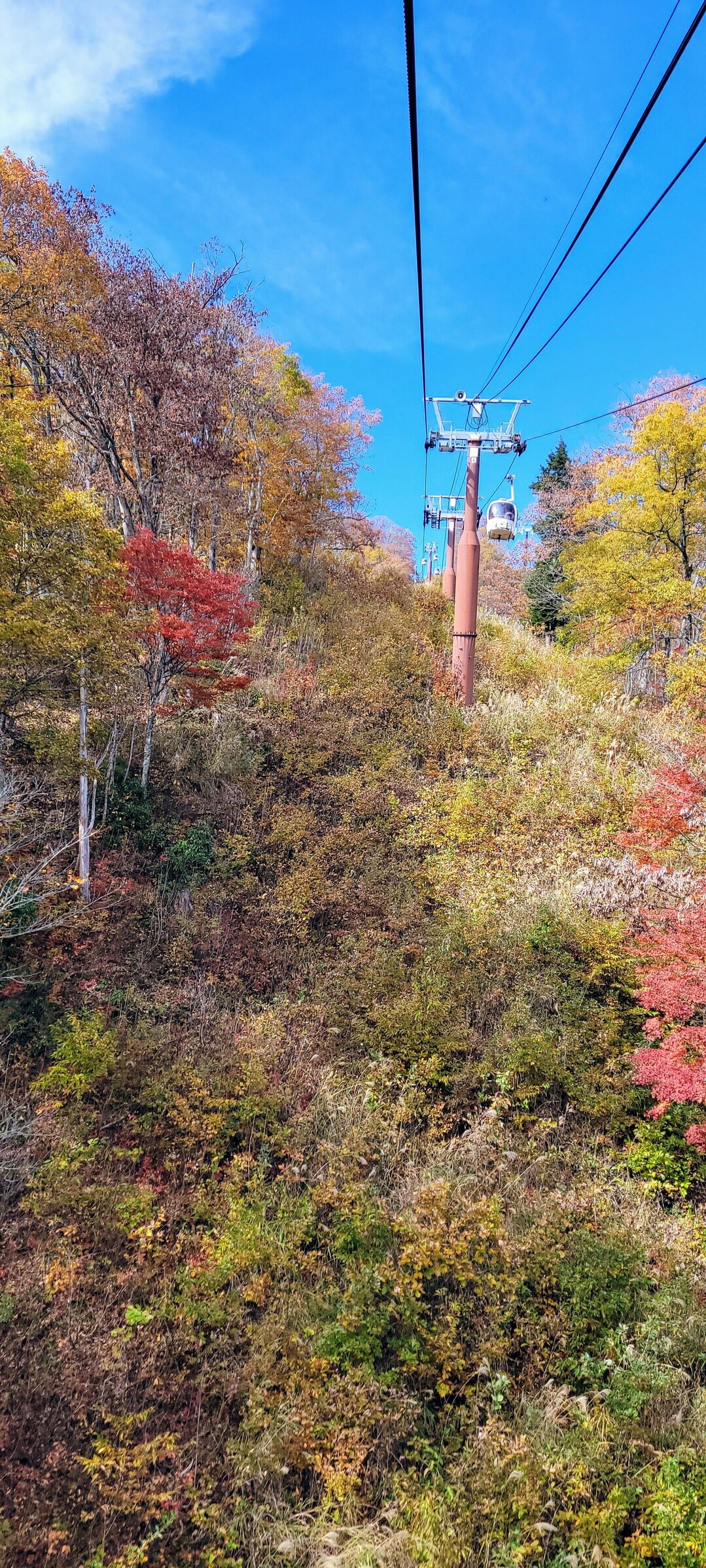 食料品を買いに行く途中、あまりにも天気が... / hirohiroさんのモーメント | YAMAP / ヤマップ
