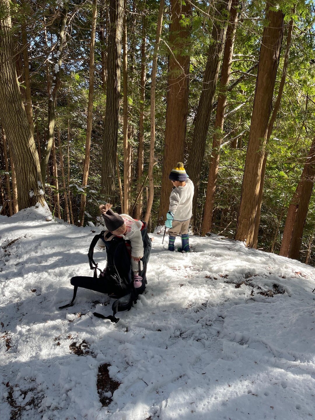 虚空蔵山 / ANZUNUKOさんの風越山（権現山）・虚空蔵山の活動データ | YAMAP / ヤマップ