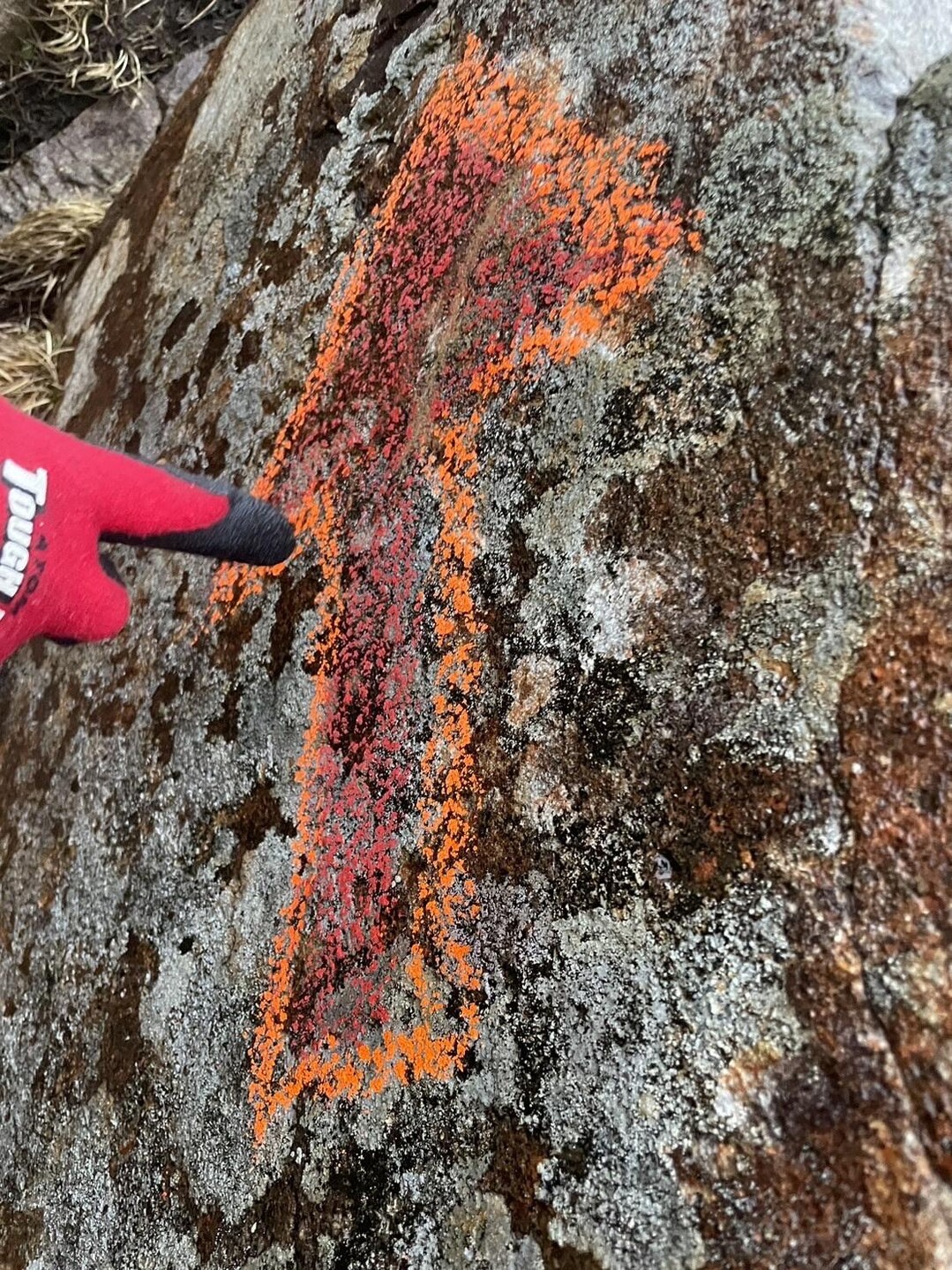 石鎚山東稜のルート破壊の続き。 ここまで... / 山猫さんのモーメント | YAMAP / ヤマップ