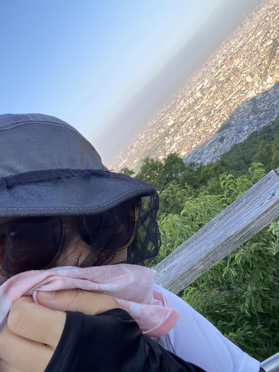 朝ウォーキング！！早い時間なら🪰少ないのか…？！ / MASAEさんの生駒山・神津嶽・大原山の活動データ | YAMAP / ヤマップ