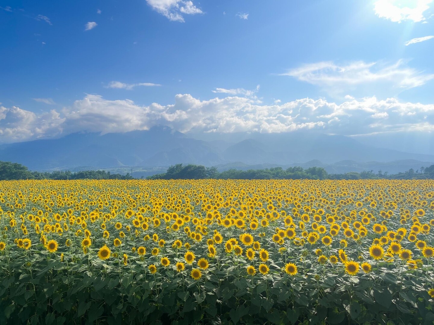 南アルプスと八ヶ岳がよーーく見えるので好... / nanaさんのモーメント | YAMAP / ヤマップ