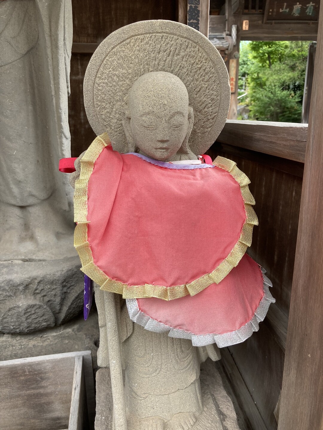 中原街道2日目-2022-06-11 / Aokatiさんのウォーキングの活動データ | YAMAP / ヤマップ