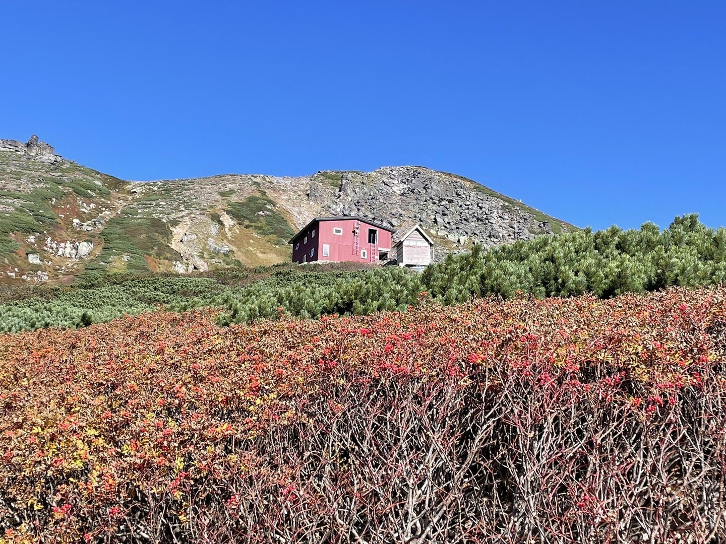 リハビリで緑岳(松浦岳)・白雲岳・小泉岳 / me〜さんの大雪山系・旭岳・トムラウシの活動データ | YAMAP / ヤマップ