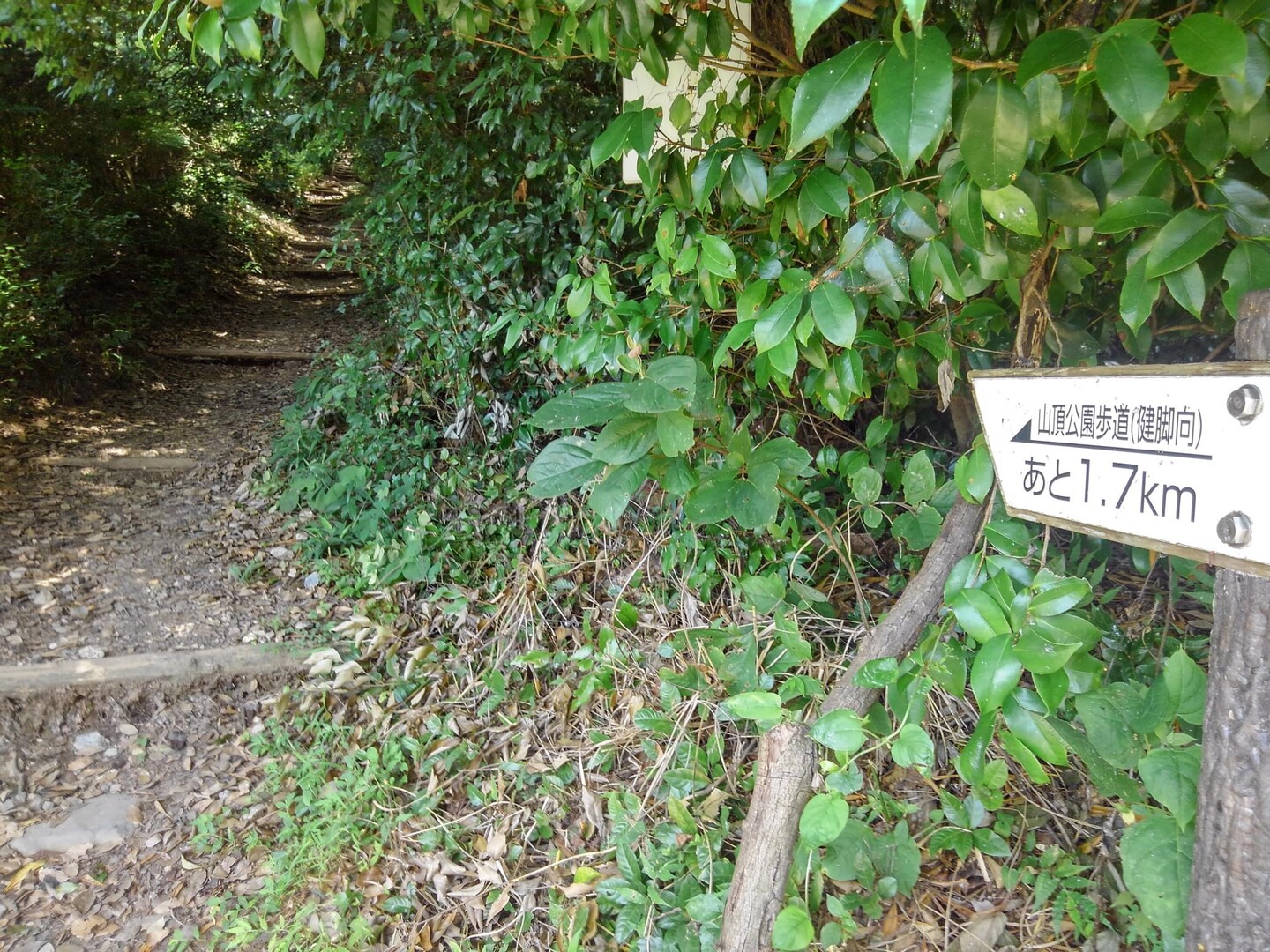 R6-17 多度山 / nob3さんの多度山・美濃松山・石津御嶽の活動データ | YAMAP / ヤマップ