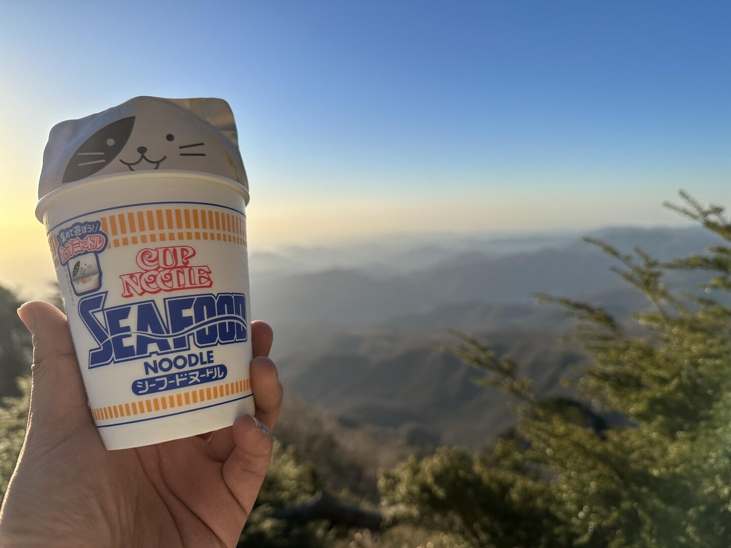 小丸山・赤薙山 / syunziさんの女峰山・赤薙山・大真名子山の活動データ | YAMAP / ヤマップ