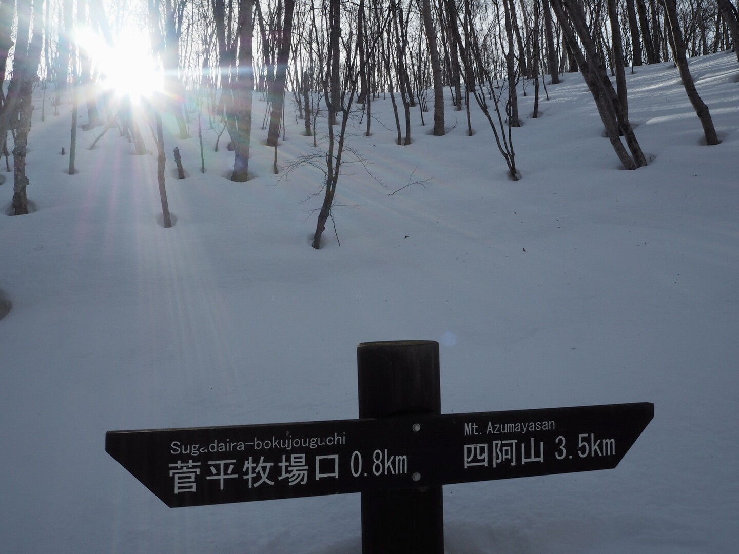 小四阿・中四阿・四阿山 / Kuraraさんの四阿山・根子岳の活動日記 | YAMAP / ヤマップ
