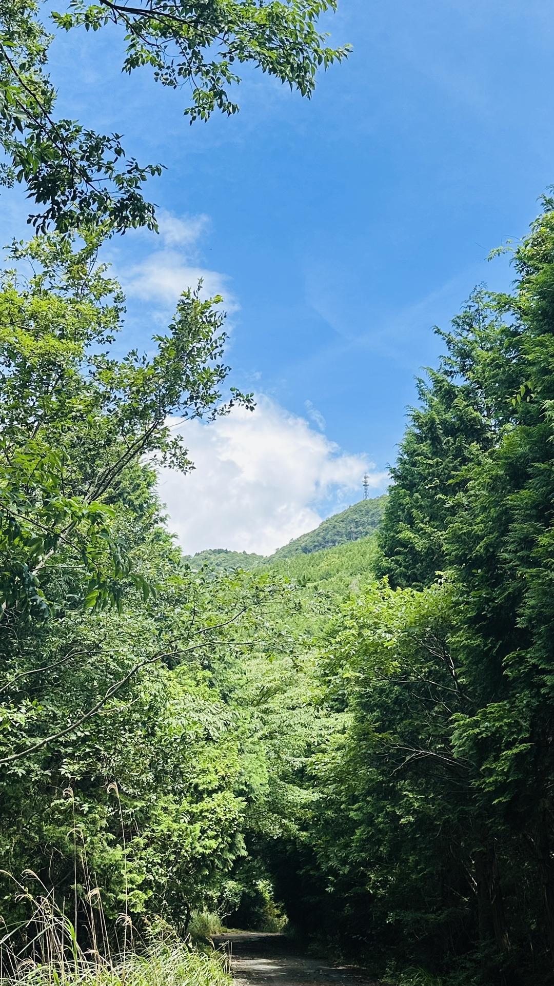 足嶽 / Haroldさんの八面山の活動データ | YAMAP / ヤマップ