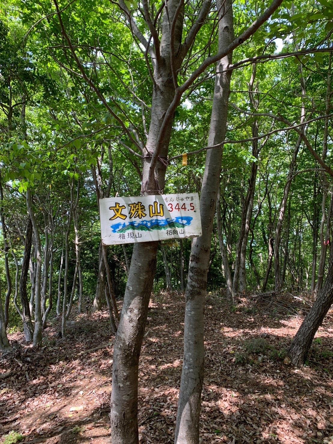 文殊山・祐向山 / rinpeさんの文殊山の活動データ | YAMAP / ヤマップ