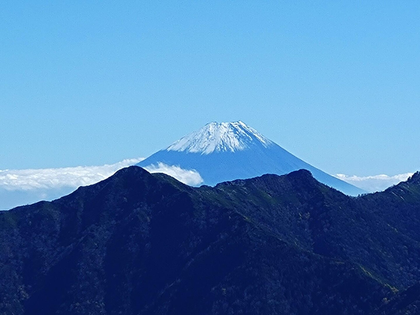 南アルプスの女王と貴公子〜長兵衛小屋テント泊〜 / Rpさんの仙丈ヶ岳・伊那荒倉岳の活動日記 | YAMAP / ヤマップ