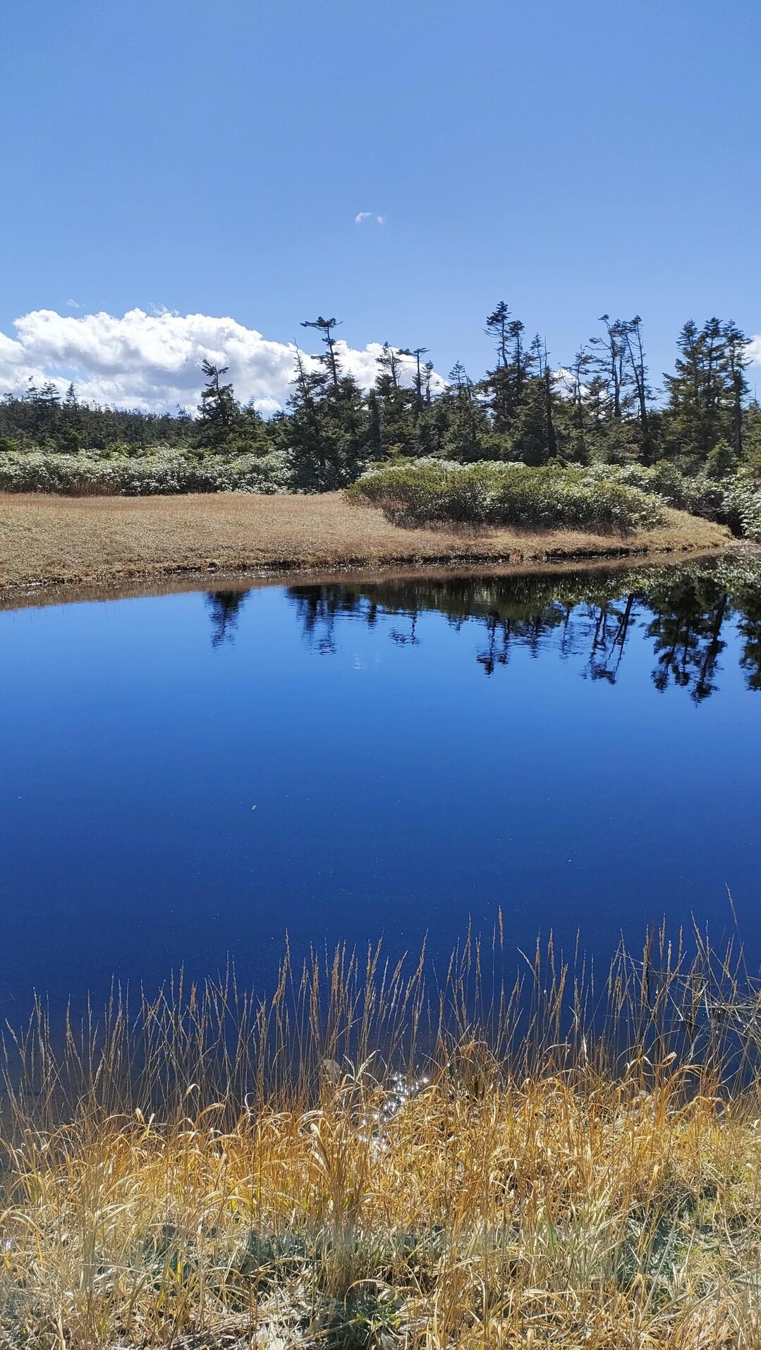 紅葉🍁東北2泊3日 八幡平ハイキング 1日目 / mimi さんの八幡平・源太森・安比岳の活動データ | YAMAP / ヤマップ