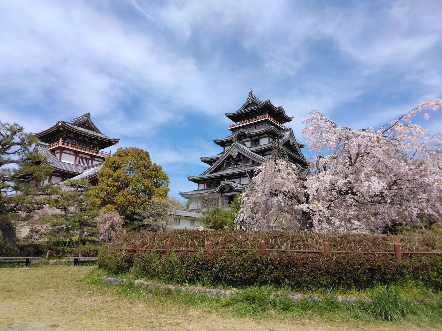 ご近所ラン / piroさんの京都一周トレイルの活動データ | YAMAP / ヤマップ