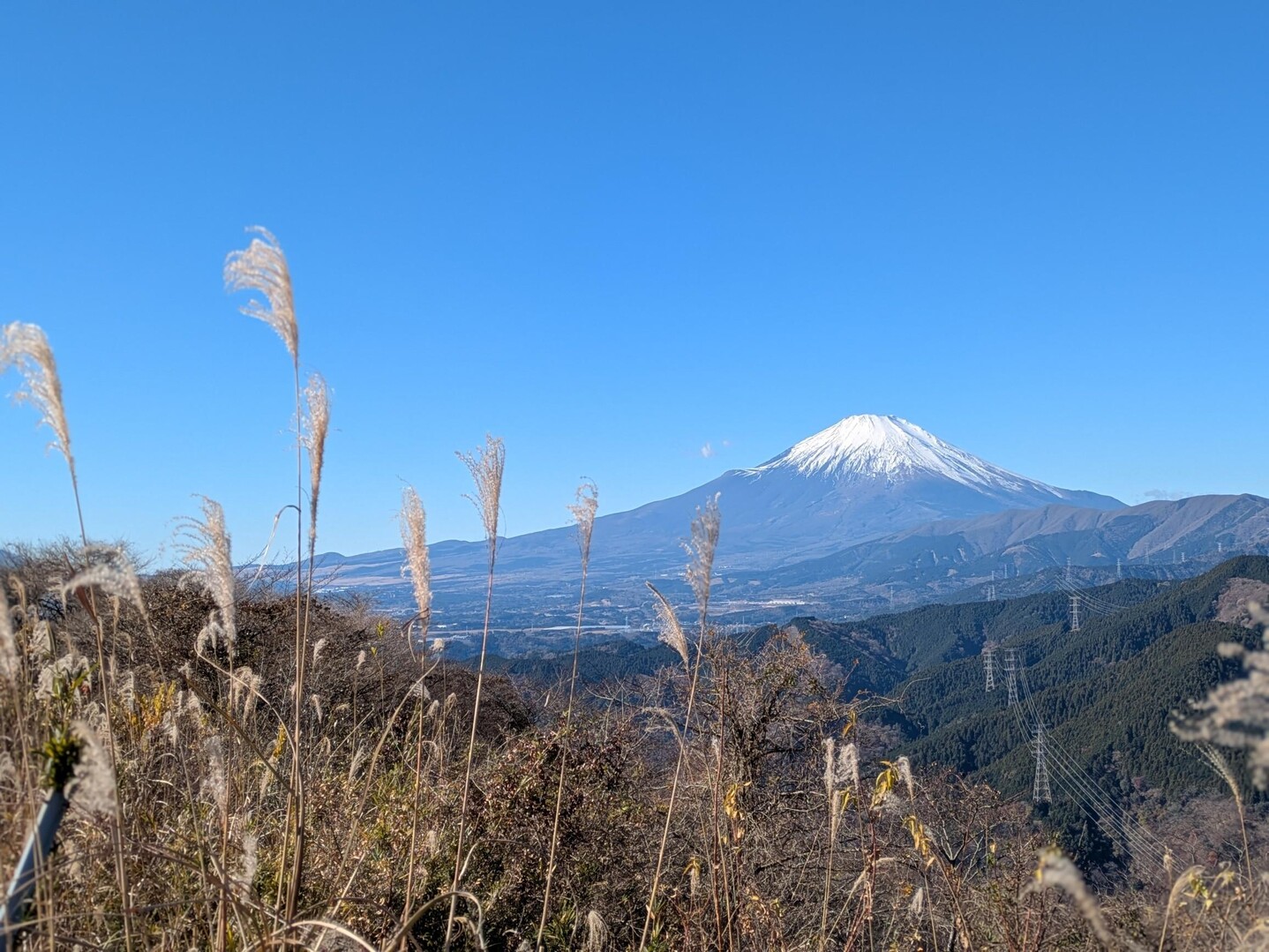 大野山 / oniさんの高松山・大野山の活動データ | YAMAP / ヤマップ