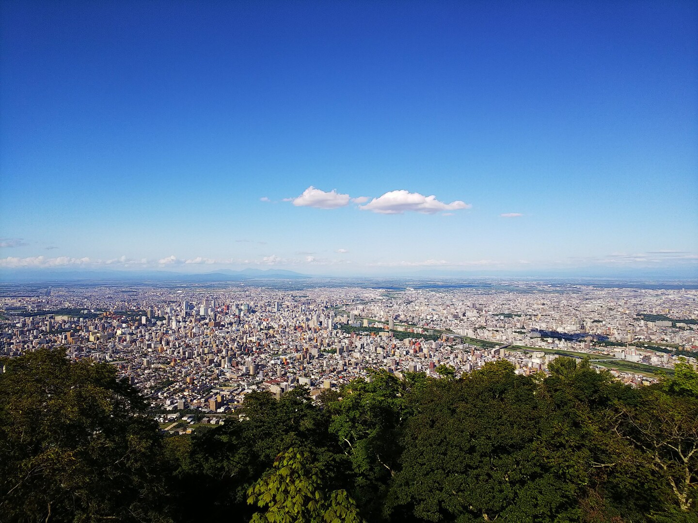 復活😆久しぶり藻岩山-2019-09-01 / makyさんの藻岩山の活動データ | YAMAP / ヤマップ
