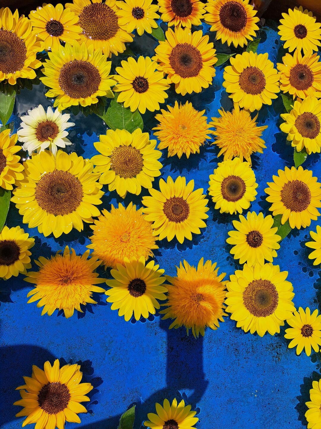 551のページ | YAMAP / ヤマップ