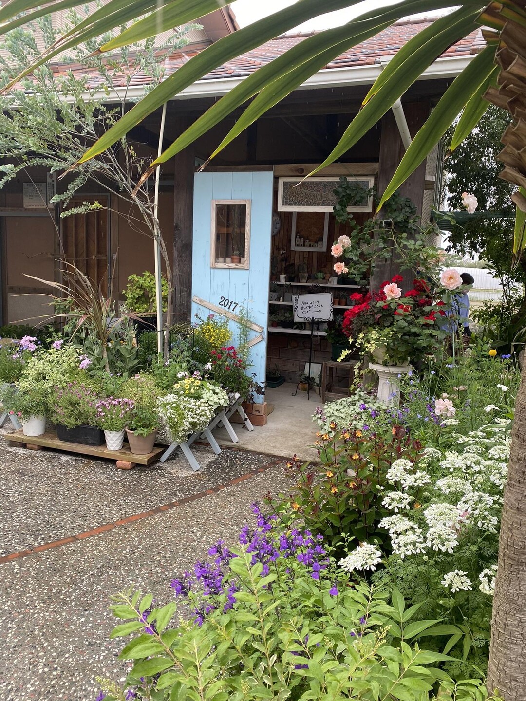 阿波オープンガーデンNo.2 / ぴんちゃんさんのモーメント | YAMAP / ヤマップ