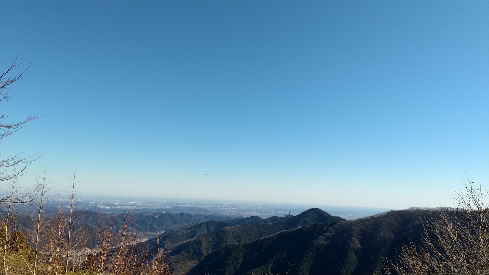 御岳山 / nachaさんの大岳山・御岳山・御前山の活動日記 | YAMAP / ヤマップ