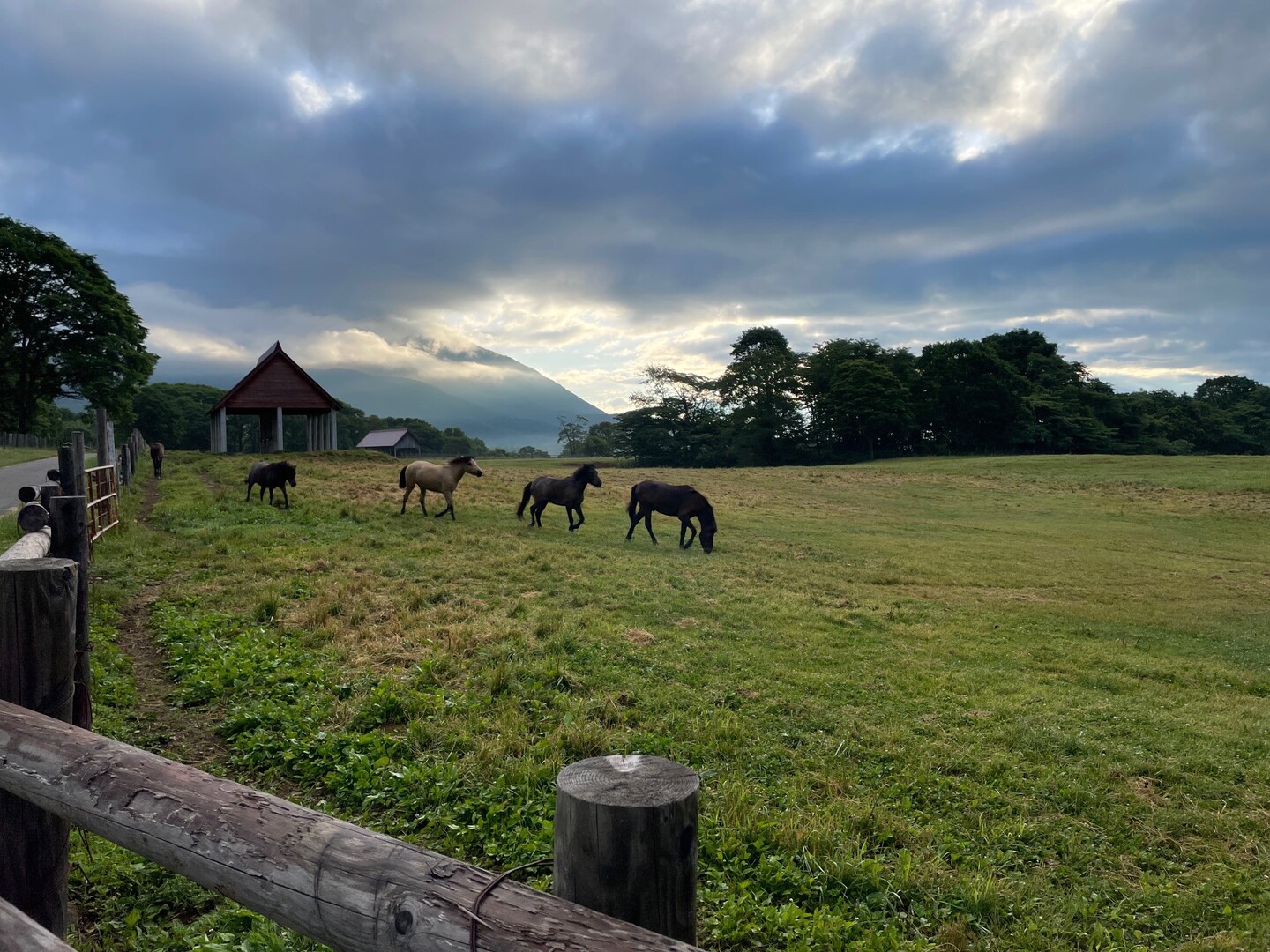 高妻山 百名山27 / yanaponさんの高妻山・戸隠山の活動データ | YAMAP / ヤマップ