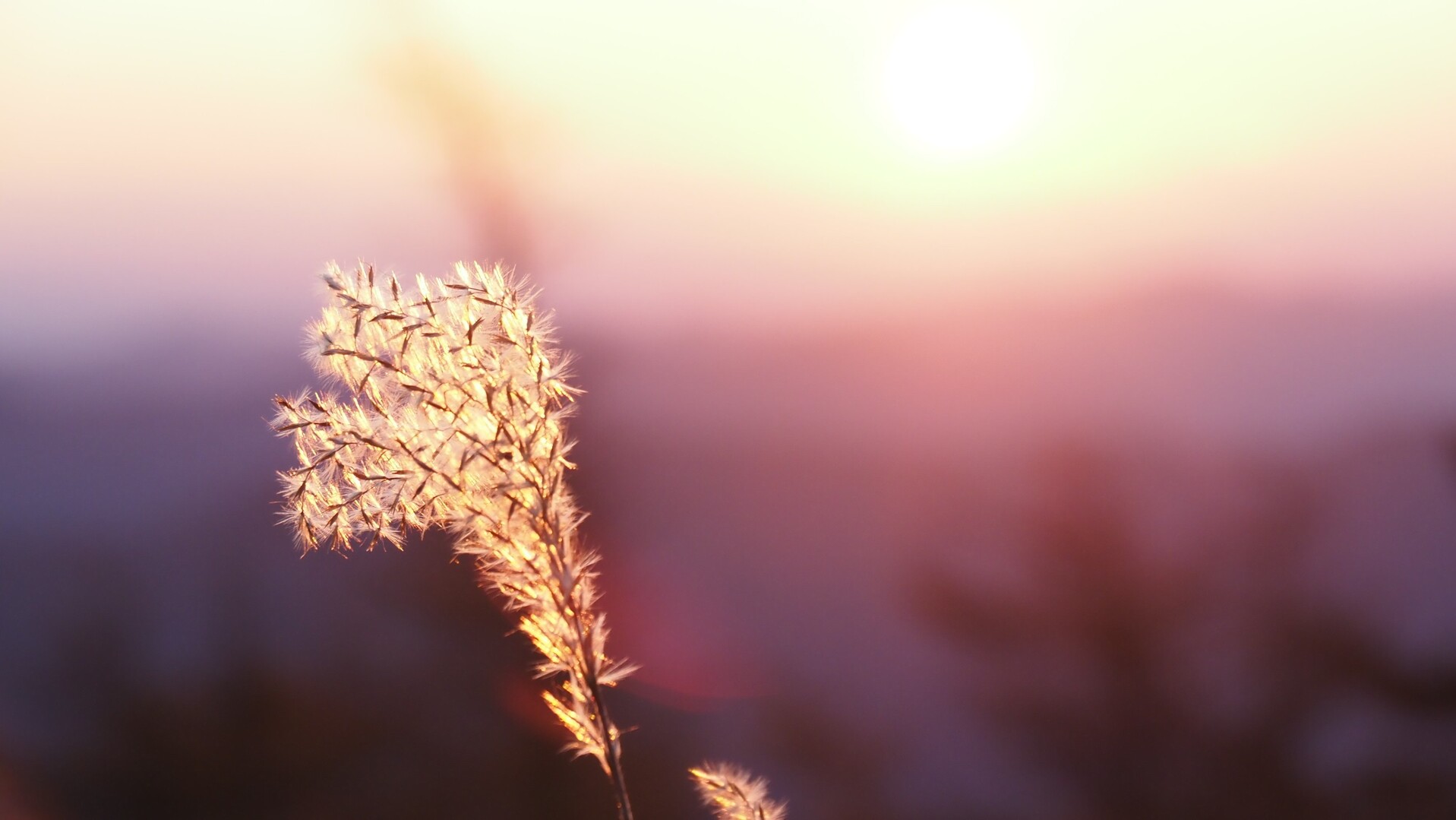 ﾀﾞﾒ人間、太陽を求める / 虚弱体質さいとー@頚椎、股関節、足底腱膜炎etc.さんの大菩薩嶺・鶏冠山・大マテイ山の活動データ | YAMAP / ヤマップ