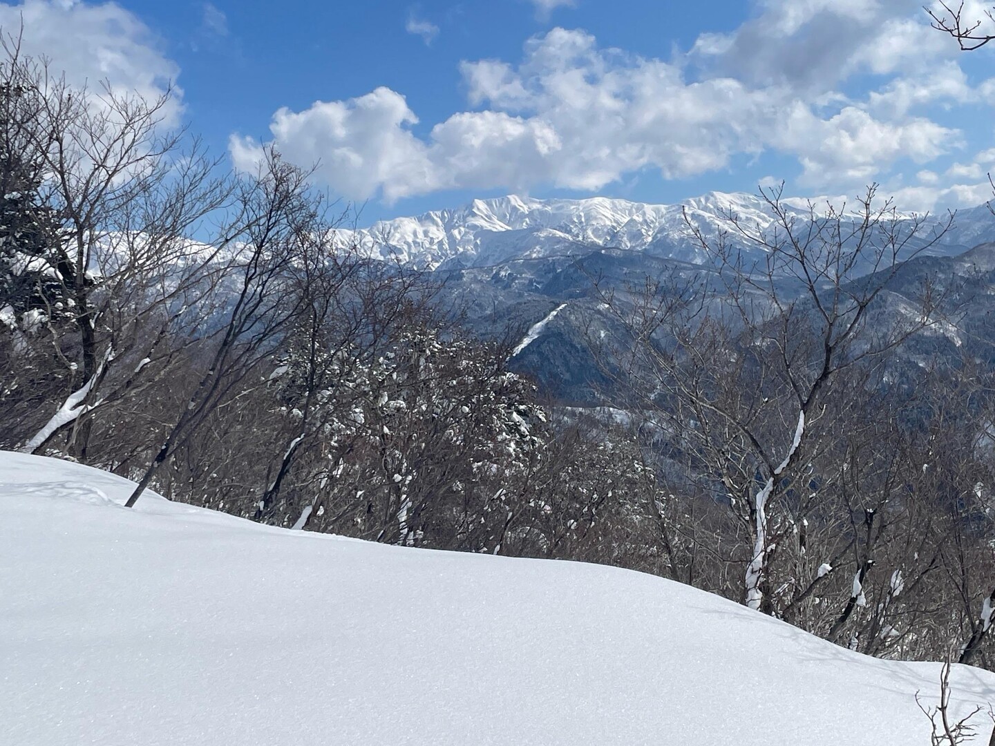スキーJOG西山⛷️ / JOG太郎さんの取立山の活動データ | YAMAP / ヤマップ