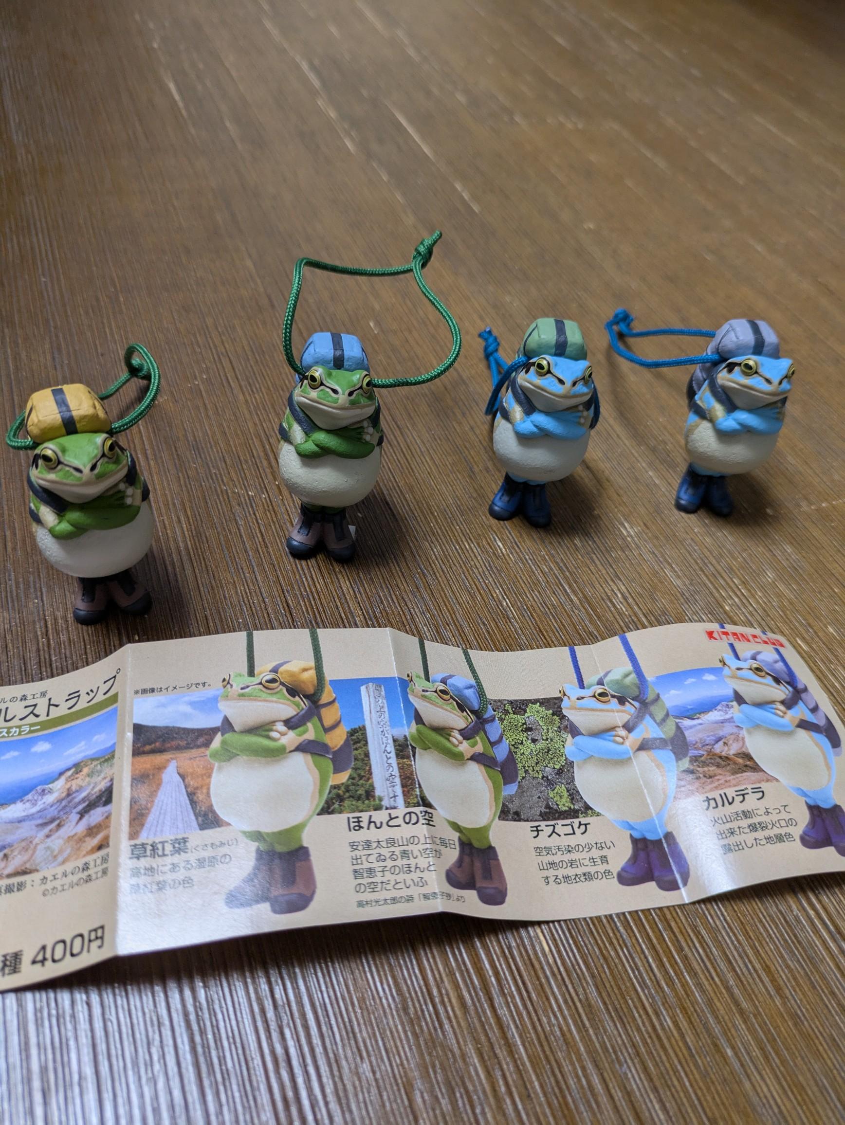 今日は雨模様なので、明日の山行に備えて最... / noanoaさんのモーメント | YAMAP / ヤマップ