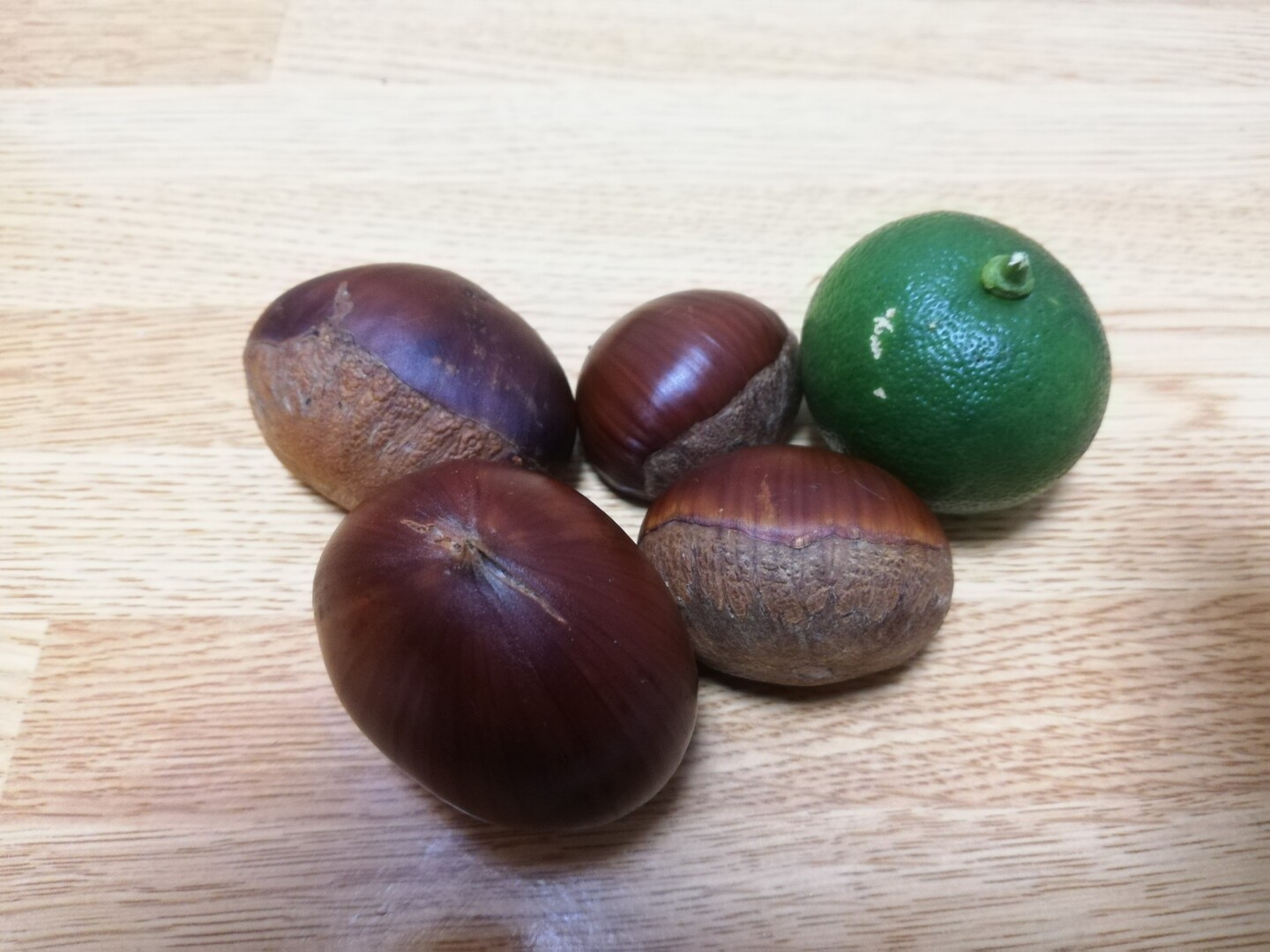 収穫祭(すだち編) ① すだちは一つだけ... / Mt. 3776さんのモーメント | YAMAP / ヤマップ