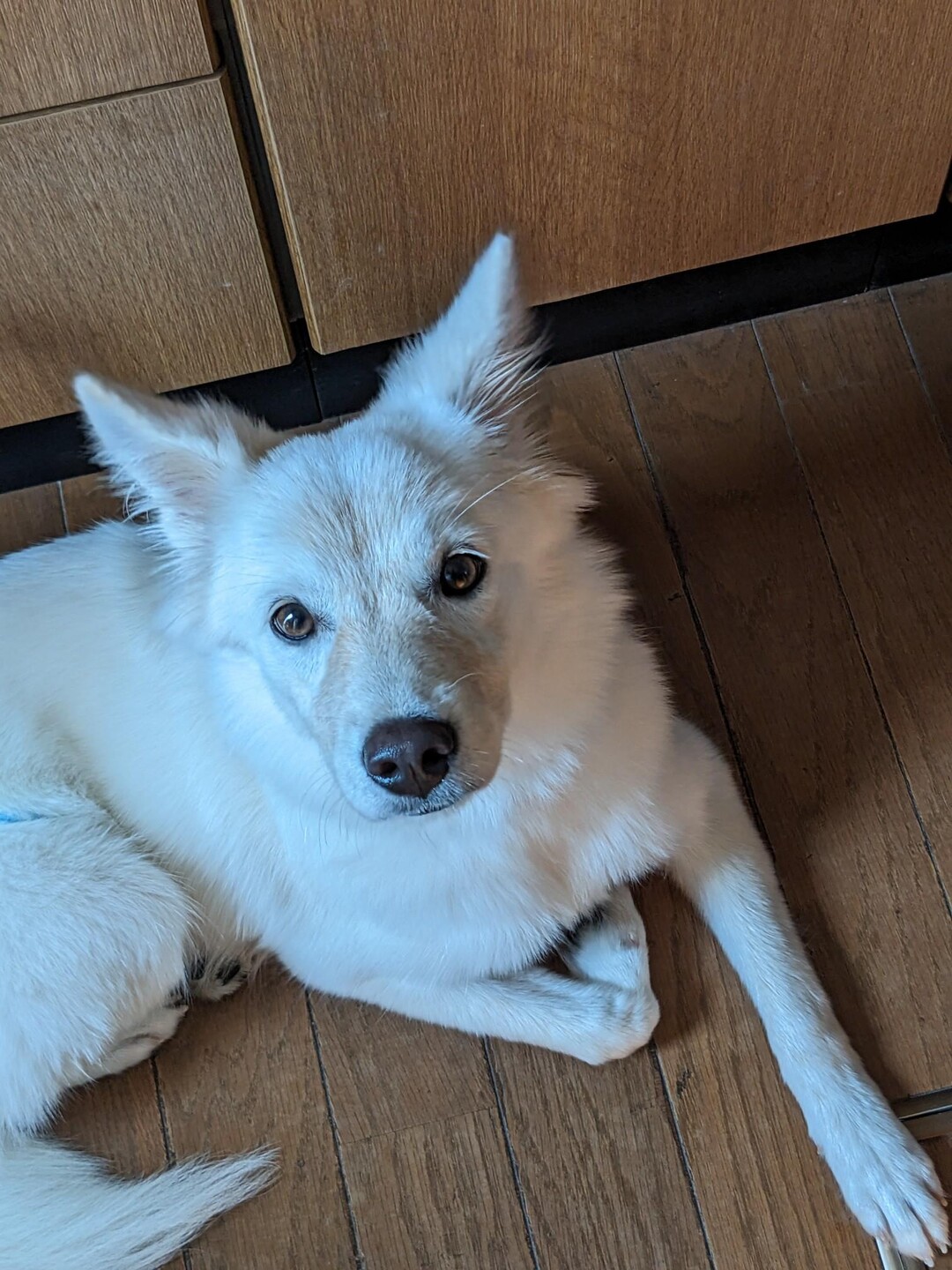 相棒 2nd Season⁉️ 突然で... / アン＋シンさんのモーメント | YAMAP / ヤマップ