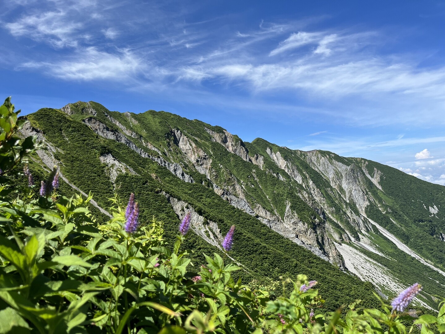 三鈷峰🌸象ヶ鼻🌼宝珠山 / Sadaさんの大山・甲ヶ山・野田ヶ山の活動データ | YAMAP / ヤマップ