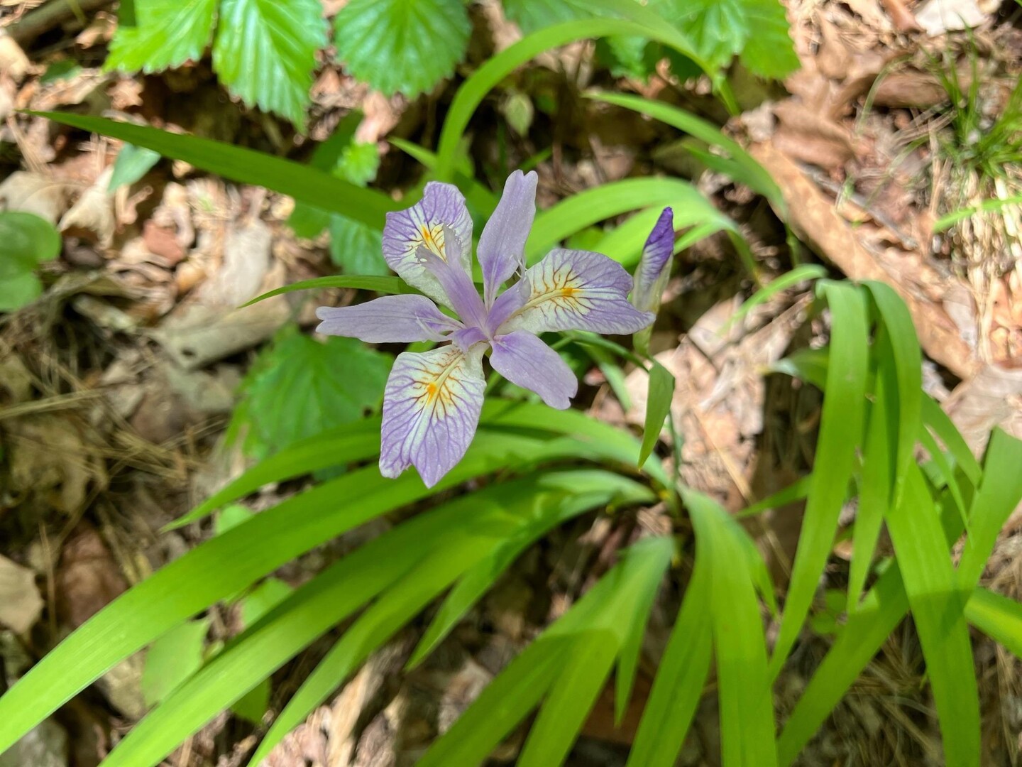 万寿山 / Sammyさんの万寿山・六郎山・台羽山の活動データ | YAMAP / ヤマップ