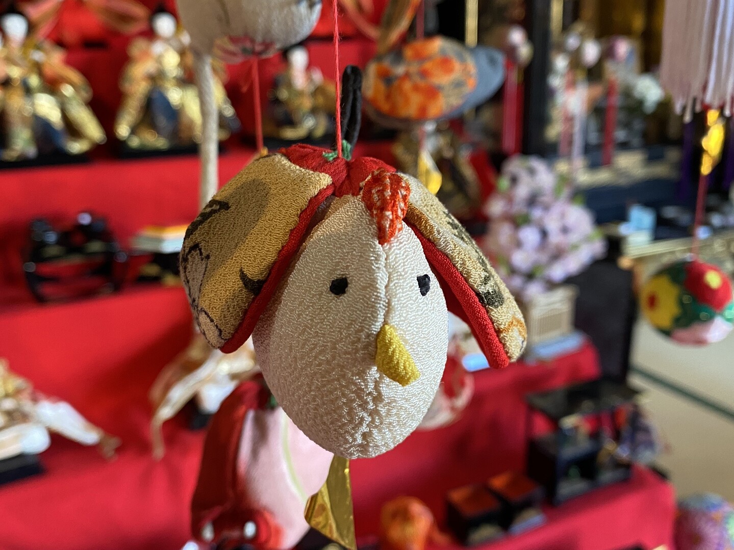 柳川のお雛様🎎さげもん祭り 春の陽気... / rebiさんのモーメント | YAMAP / ヤマップ