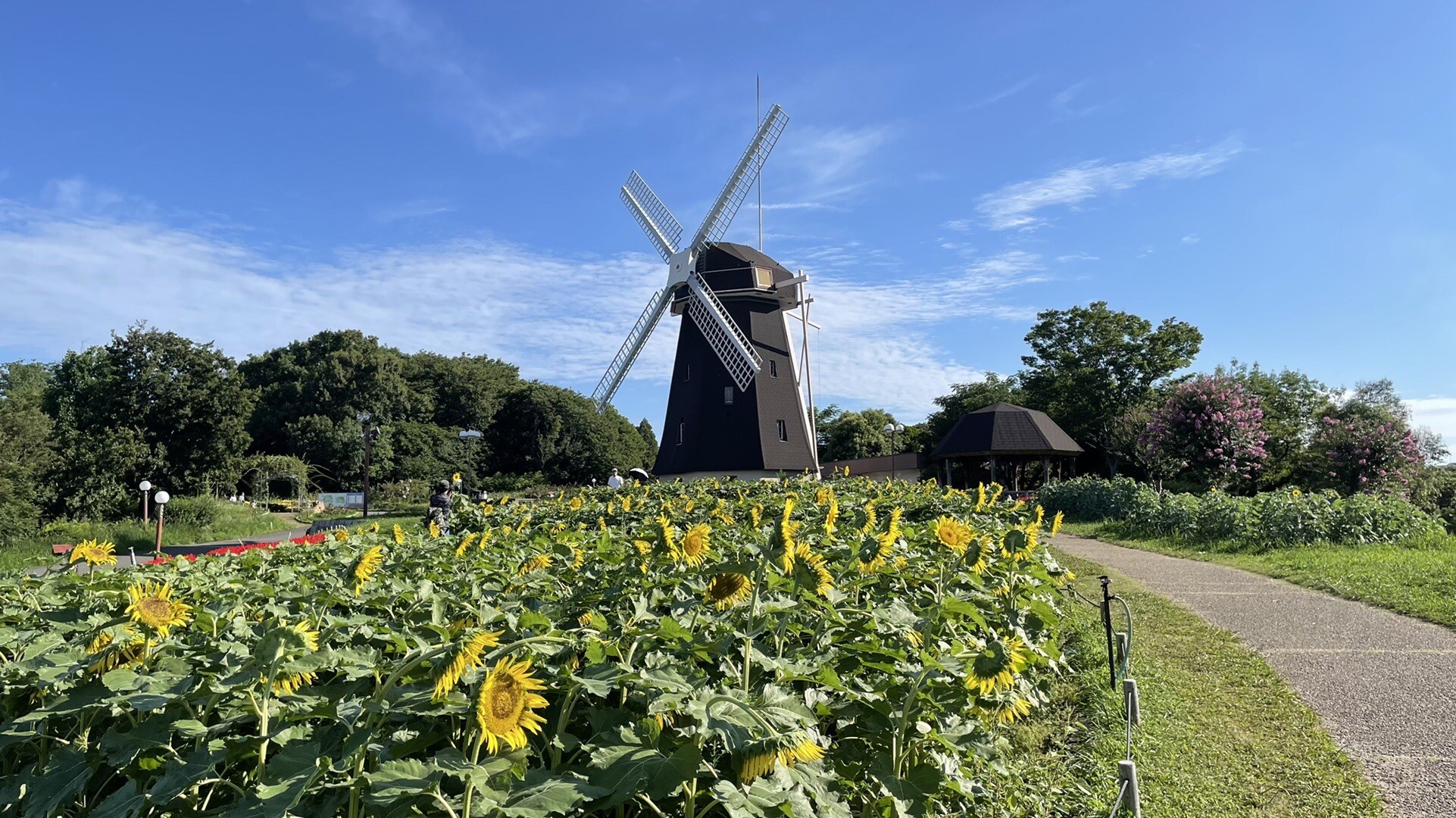 暑い / Yukiさんのモーメント | YAMAP / ヤマップ