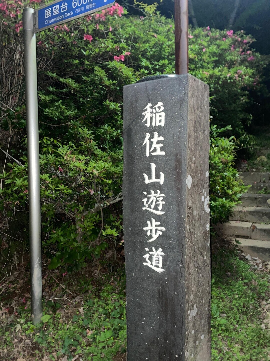 夜景鑑賞🌃鉢巻山・稲佐山 / Seiji517さんの稲佐山の活動データ | YAMAP / ヤマップ