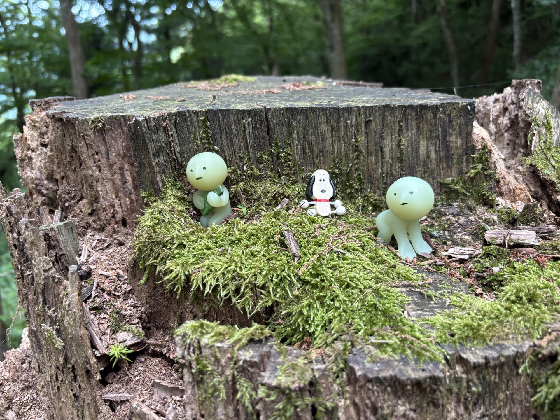 文殊山159回目 / 🌸ako🌸さんの文殊山の活動データ | YAMAP / ヤマップ