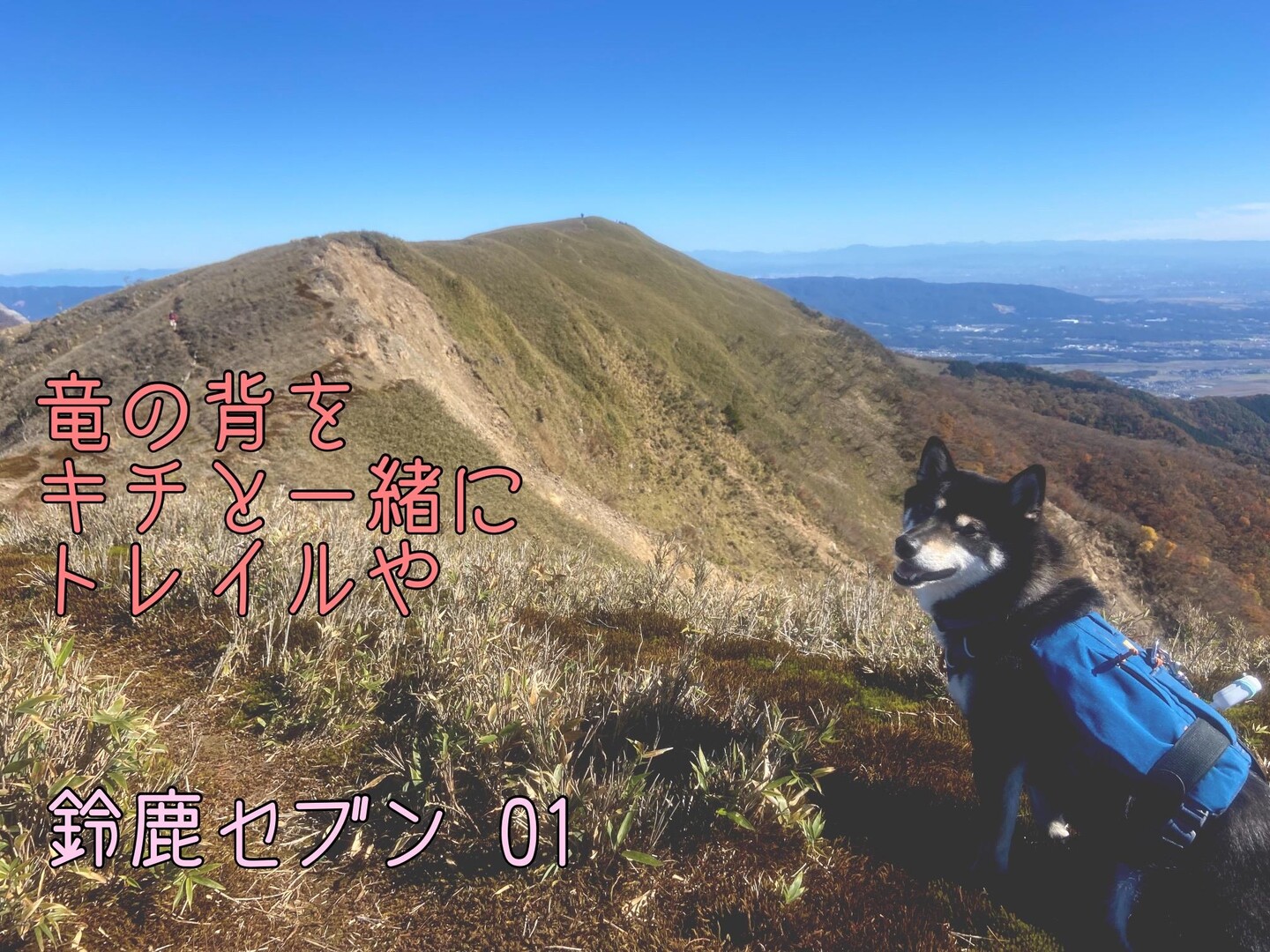 竜ヶ岳の山レポです https://yo... / Corchanさんのモーメント | YAMAP / ヤマップ