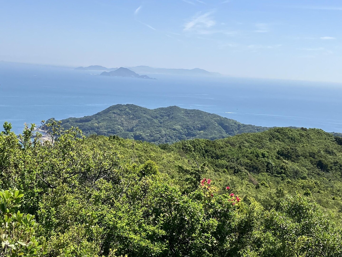 菅島大山(237m)へ 離島の絶景とジングウツツジ / issanさんの鳥羽市の活動データ | YAMAP / ヤマップ