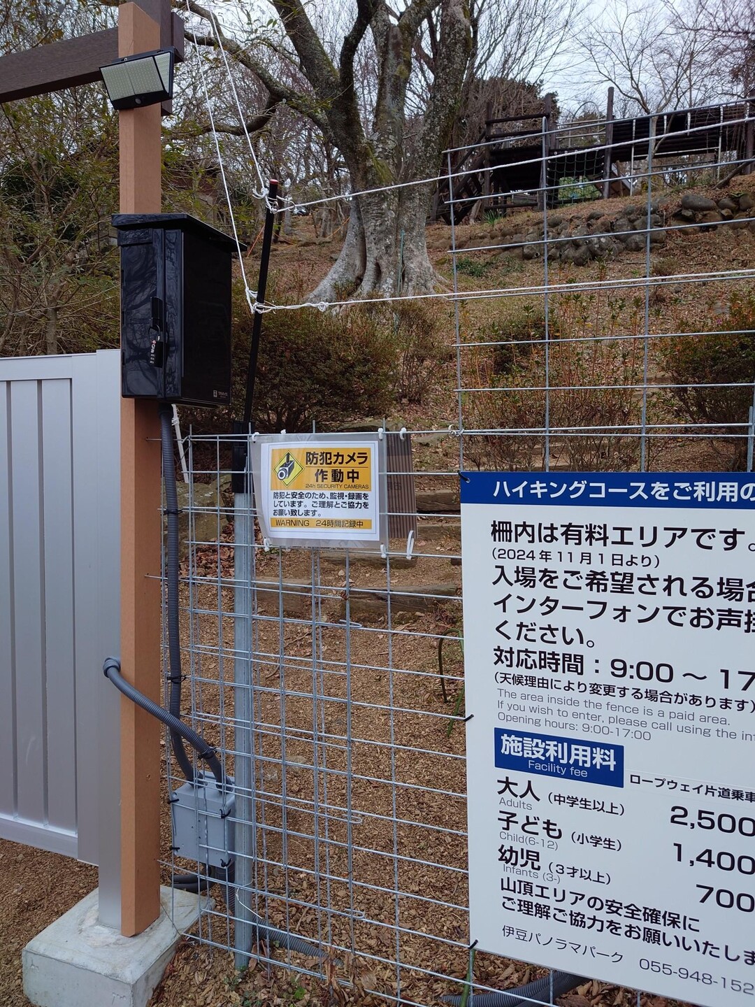 発端丈山・葛城山（伊豆葛城山） / palさんの金冠山・達磨山・葛城山の活動データ | YAMAP / ヤマップ