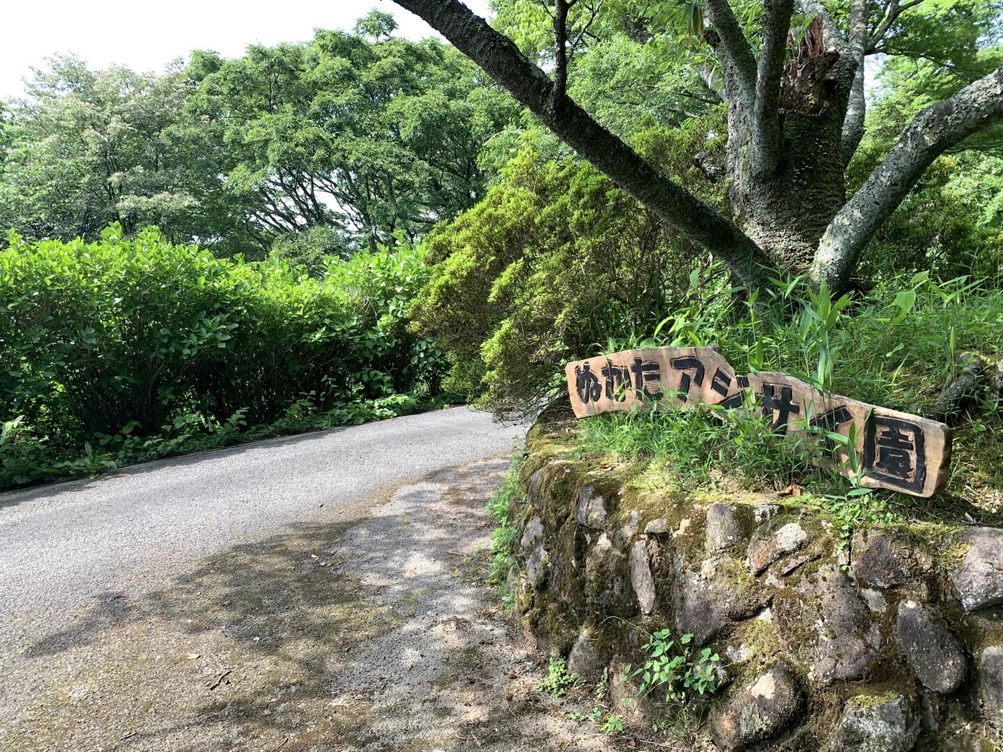 yoshiさんの投稿したフィールドメモ | YAMAP / ヤマップ