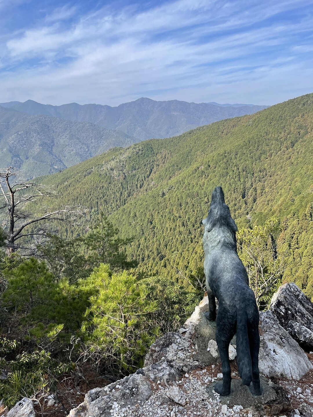 太竜寺山 / seiさんの太竜寺山の活動データ | YAMAP / ヤマップ
