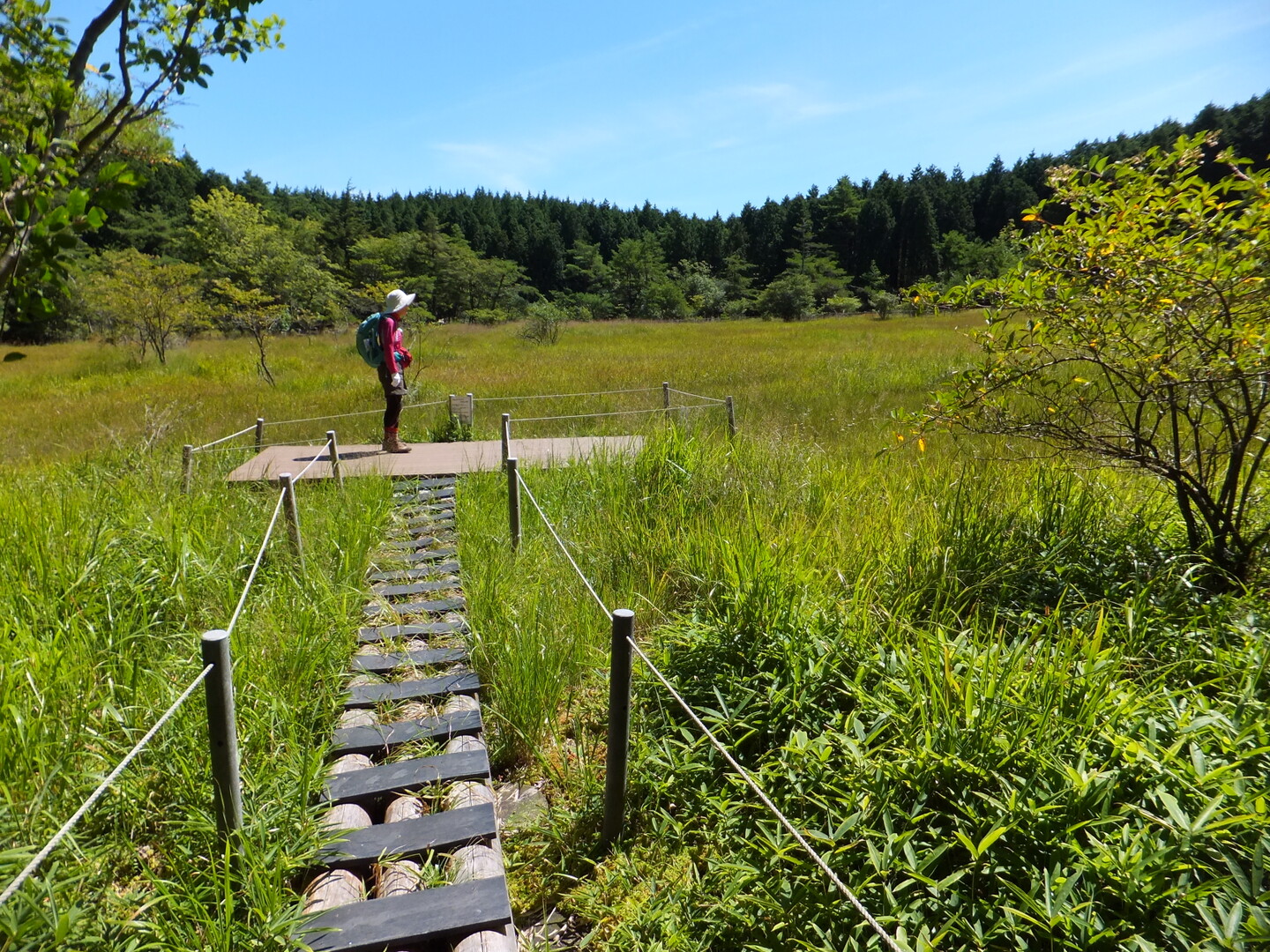 屏風山(岐阜県)-2019-09-07 / BAKUさんの屏風山の活動データ | YAMAP / ヤマップ