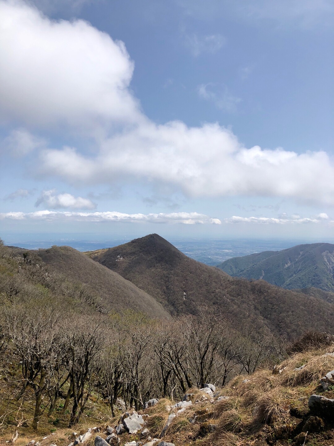 藤原岳・天狗岩（朝は霧、昼から晴れ！） / Chayaさんの藤原岳・御池岳の活動データ | YAMAP / ヤマップ