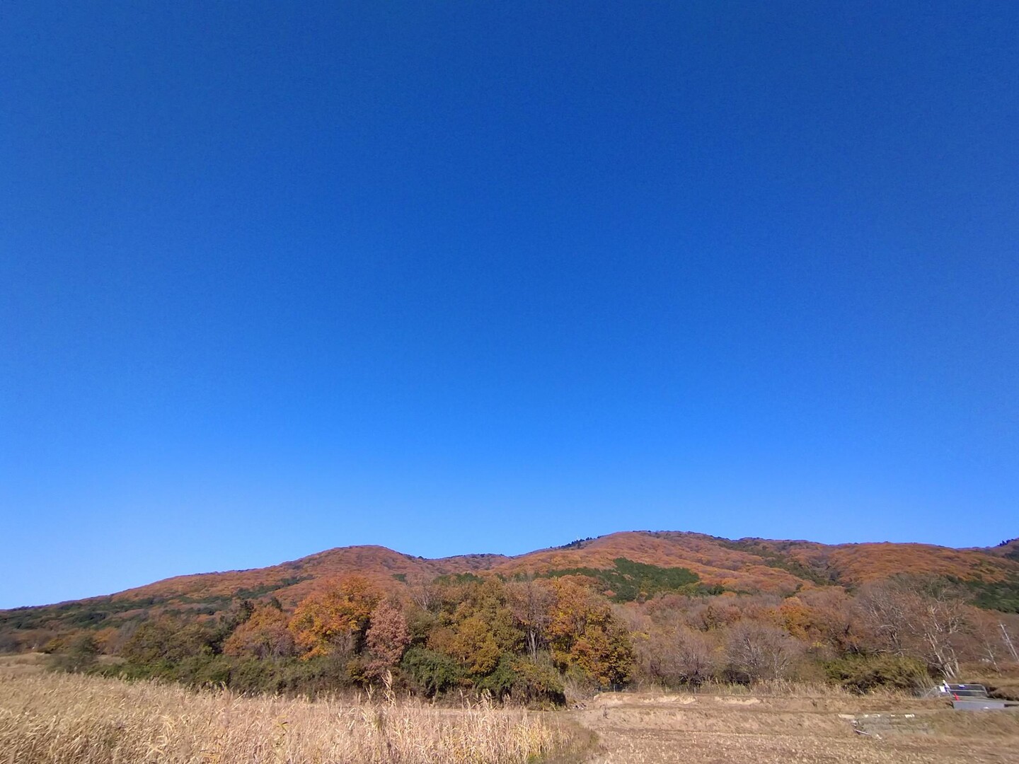 快晴☀宝篋山・尖浅間山 / ogapさんの宝篋山・富岡山の活動データ | YAMAP / ヤマップ