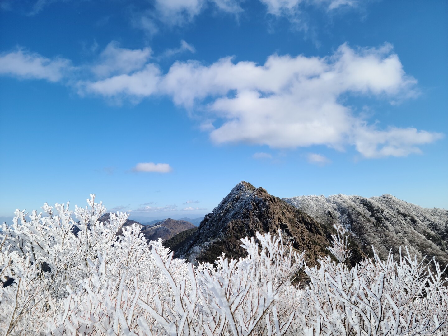 【ソロ活動】今年最後のソロ活動(牛ヶ首・下兜山・上兜山・物住頭) / kaz23さんの東赤石山・西赤石山・物住頭の活動日記 | YAMAP / ヤマップ