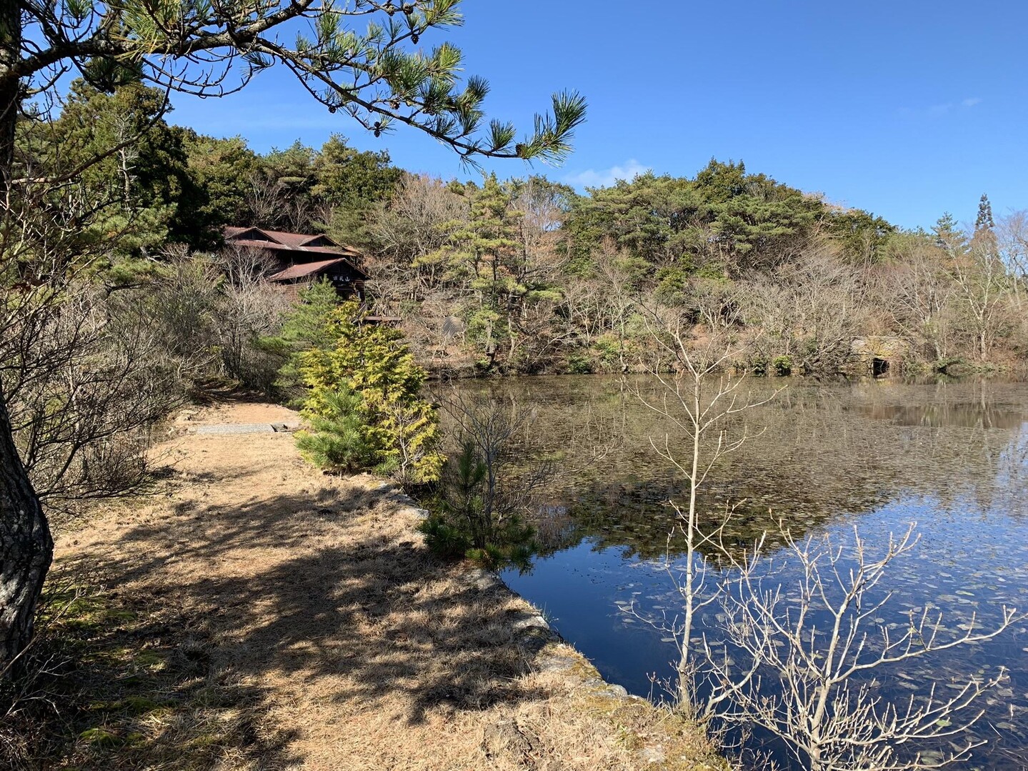 作礼山・作礼山東峰（権現山） / simさんの作礼山の活動データ | YAMAP / ヤマップ