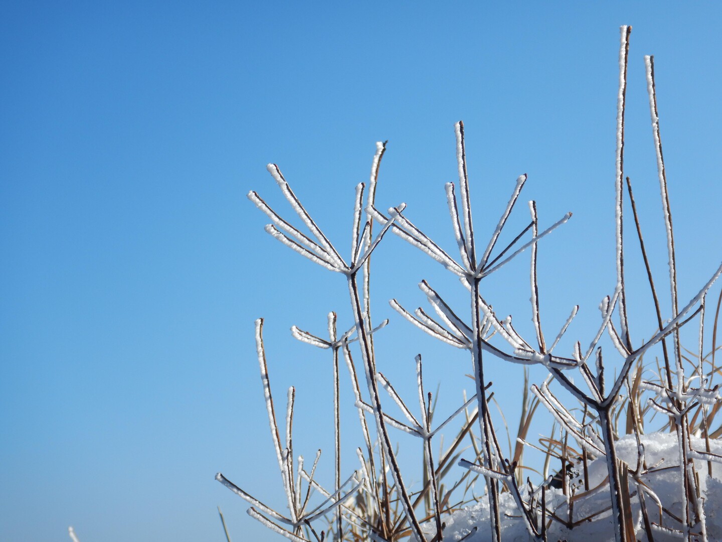 妙見岳・国見岳・立岩の峰・普賢岳（雲仙岳） / S.nekoさんの雲仙岳・普賢岳・絹笠山の活動データ | YAMAP / ヤマップ