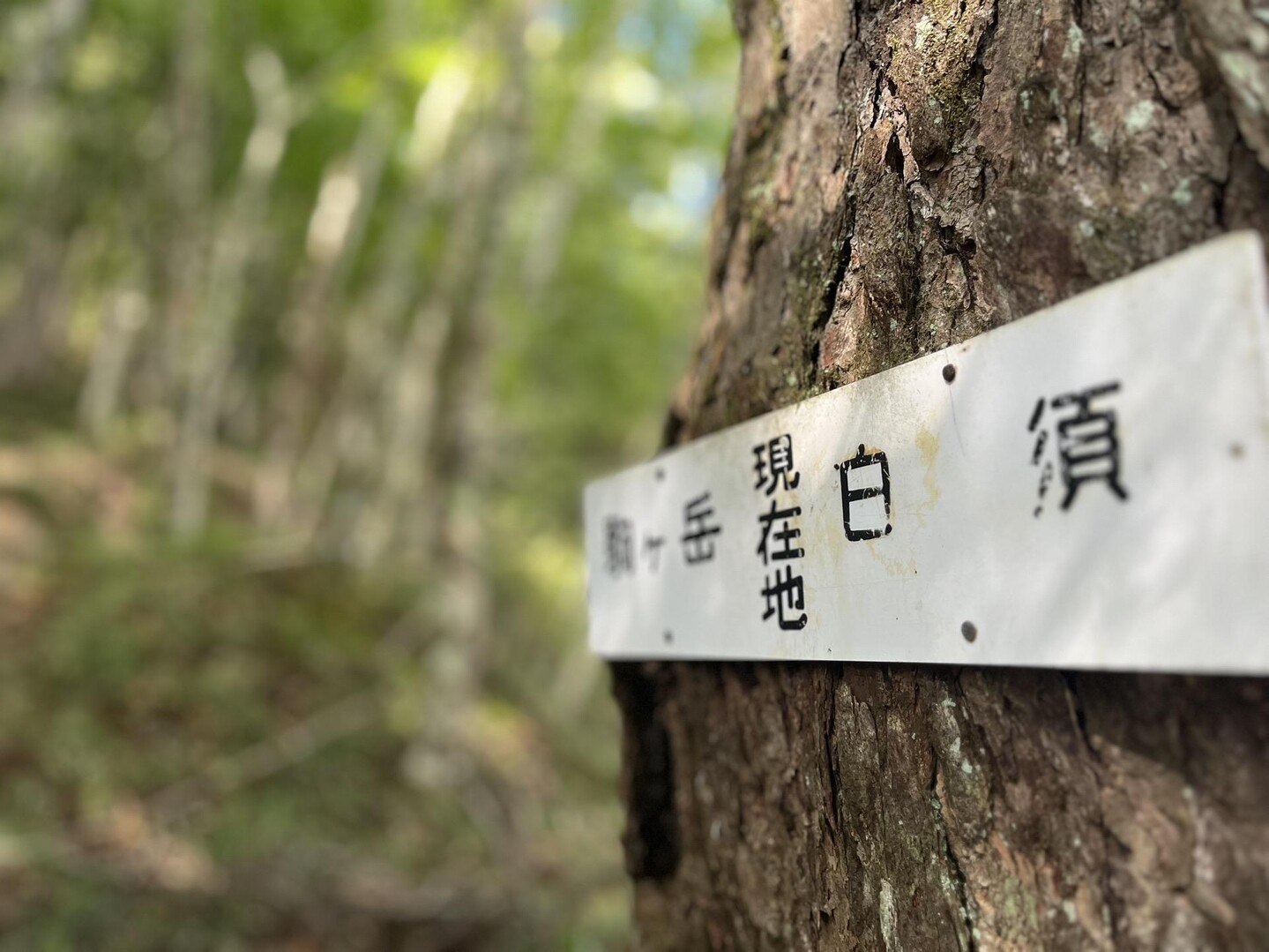 甲斐駒ヶ岳 黒戸尾根 / 鈴鹿sevenさんの甲斐駒ヶ岳・日向山の活動データ | YAMAP / ヤマップ